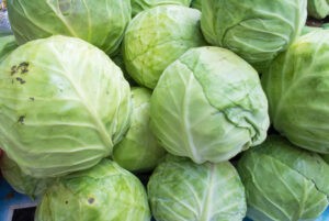 Spotting Spoilage Signs: How to Tell if Cabbage is Bad