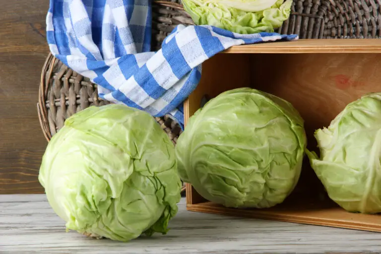 Spotting Spoilage Signs: How to Tell if Cabbage is Bad