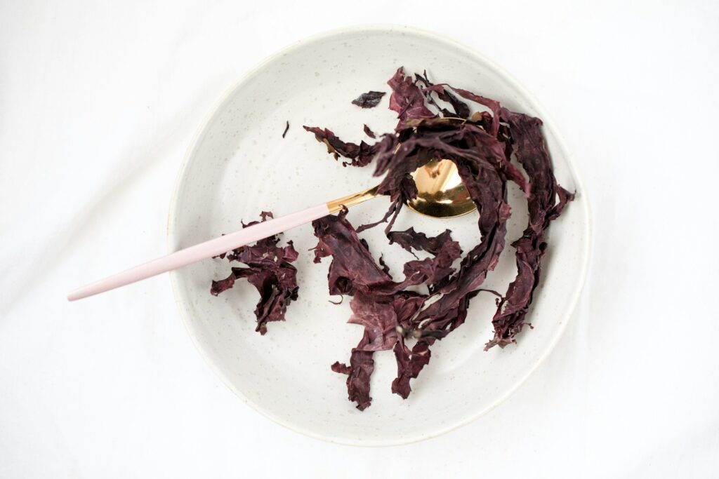 Algae – Why It’s Good for You and How to Incorporate It into Your Diet ...